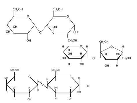 Carbohydrate Molecules Diagram Quizlet