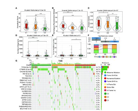 Landscapes And Genomic Mutation Features Between C1 C2 And C3 In The Download Scientific