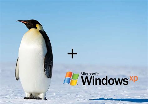 ¿cómo Conectar Linux Con Xp