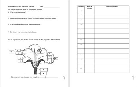 Solved Plant Reproduction And Development Worksheet 2