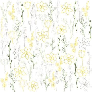 Spring Vector Background With Tulips And Daffodils Garden Isolated Background Image And