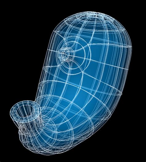 Stomach Scaffold — Abi Mapping Tools 010 Documentation