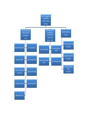 Project Management Organization Chart Template