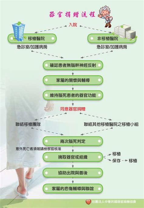 【器官移植中心】知識學堂 器官捐贈移植 中山醫學大學附設醫院