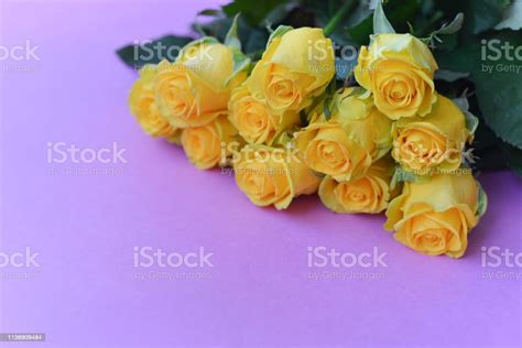 고립 된 분홍색 배경에 나뭇잎과 노란 장미 꽃의 꽃다발 평면 누워 평면도 모퉁이 구성 합니다 엽서 생일 꽃 어레인지 구도에 대한 스톡 사진 및 기타 이미지 Istock