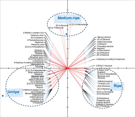 Principle Component Analysis Pca Biplot Of Aroma Compounds In Olive
