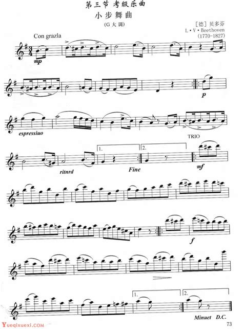 长笛三级考级乐曲小步舞曲 在银色月光下 阿勒芒德舞曲 长笛曲谱 乐器学习网