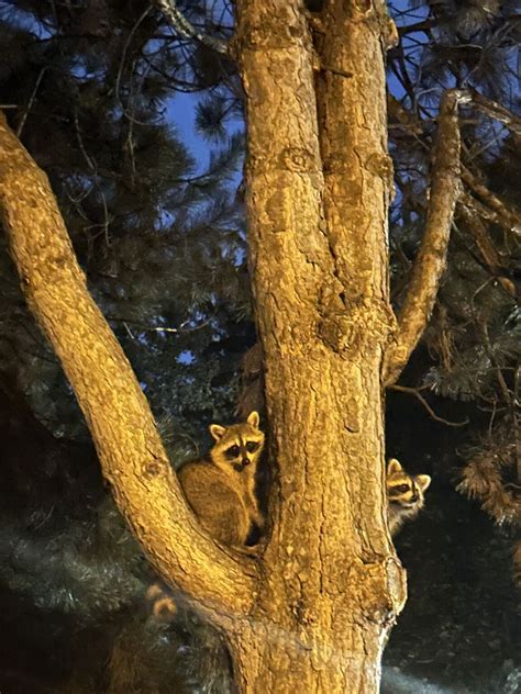 E Marcel Oprea On Linkedin Love Respect Nature