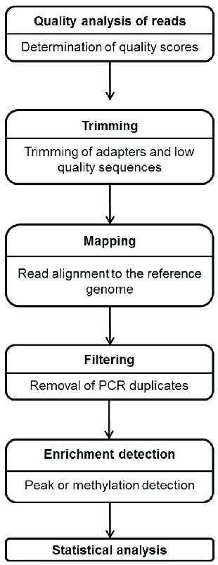 Example Of A Bioinformatics Pipeline To Analyze Wgbs Or Chip Seq Data Download Scientific