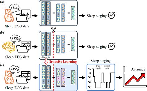 Figure 5 From Cross Domain Transfer Of Eeg To Eeg Or Ecg Learning For