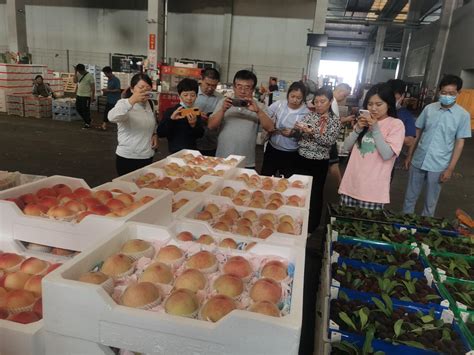 江苏现代农业桃产业技术体系团队来沪考察交流 所内新闻 上海市农业科学院林木果树研究所