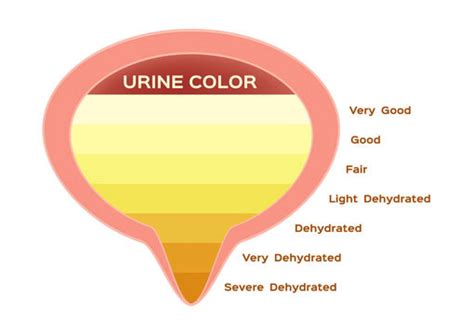 Urine Smells Like Ham How Do I Get Rid Of It