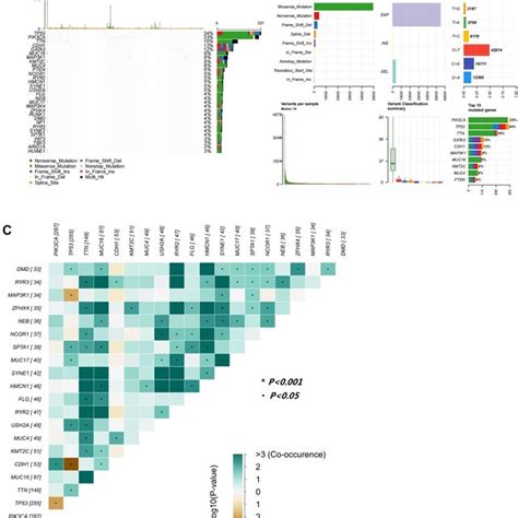 Mutation Profiles In Breast Cancer Samples A Mutation Landscape Plot
