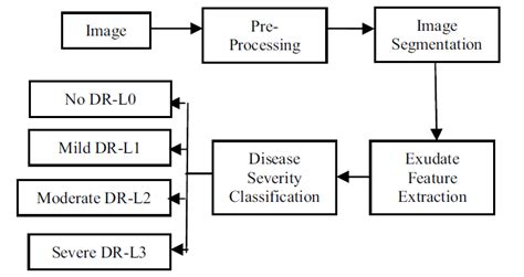 Deep Convolutional Neural Network Based For Early Recognition Of