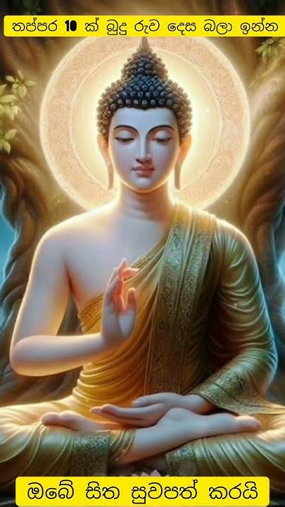 තප්පර 10 ක් බුදු රුව දෙස බලා ඉන්න ඔබේ සිත සුවපත් කර සැනසීම උදා කරයි Youtube