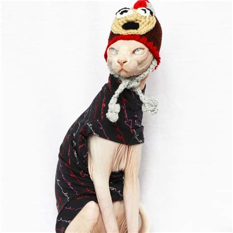 Hairless Cat In Costume At Michelle Reis Blog