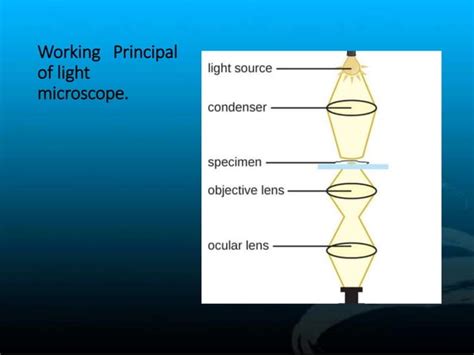 Numerical Aperture And Limits Of Resolution Of Microscope PPTX Photography Arts And Crafts