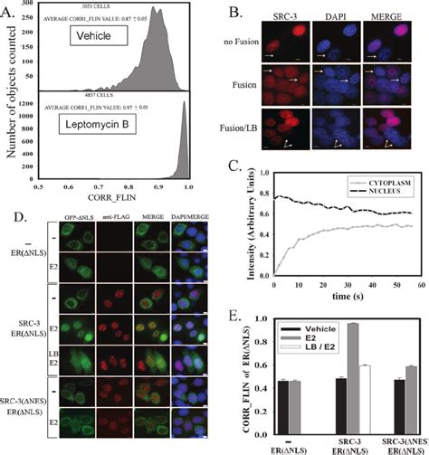 src 3 rapidly shuttles between the nucleus and cytoplasm a automated download scientific