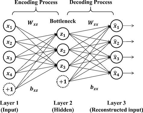 Schematic Of General Autoencoder Ae Model Download Scientific Diagram