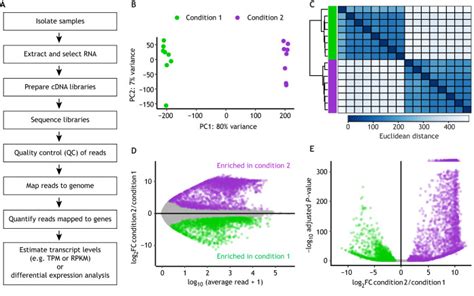 A Primer For Generating And Using Transcriptome Data And Gene Sets Pmc