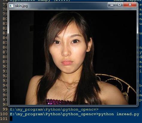 Python Demo