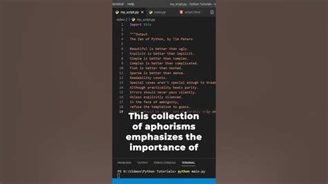 Pythons Hidden Easter Egg The Zen Of Python Shorts Coding Programming Youtube