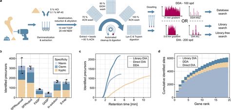 High Throughput Bone Proteome Analysis Workflow And Benchmark A Sample Download Scientific