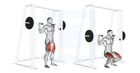 Smith Squat Guide Benefits And Form