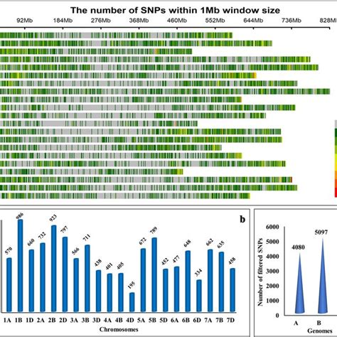 Genomic Features Of Wheat Association Panel A Density Maps Of The