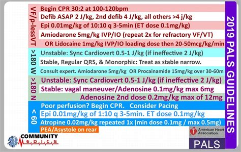 Pediatric Advanced Life Support Algorithms
