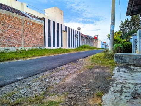 무료 이미지 자연 초목 녹색 나무 푸른 골목 거리 하늘 도로 도시 지역 벽 잎 하부 구조 물줄기 잔디 우디 식물 수로 이웃 햇빛 시티