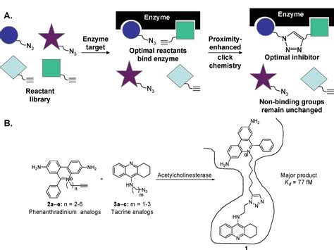 Click Chemistry Semantic Scholar