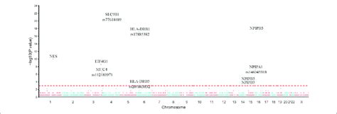 Single Snp Allele Frequency And Genotype Frequency P Values Were Download Scientific Diagram
