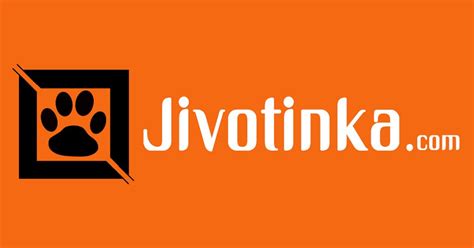 Кучета и котки Животинка