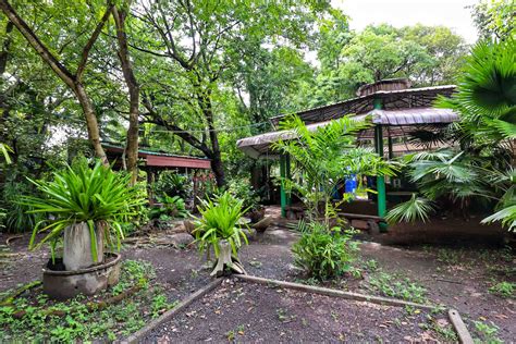 สวนนกบุรีรัมย์ ค่ายลูกเสือเพ็ชรบุรีรัมย์ สถานที่รมรื่น บรรยากาศดีย์