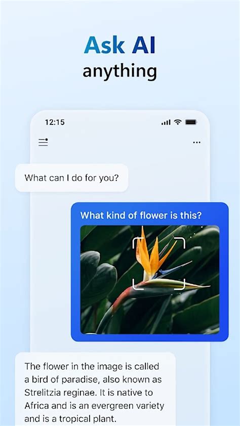 微软copilot手机版下载 Copilot人工智能appmicrosoft Copilot下载v300430506003 安卓版