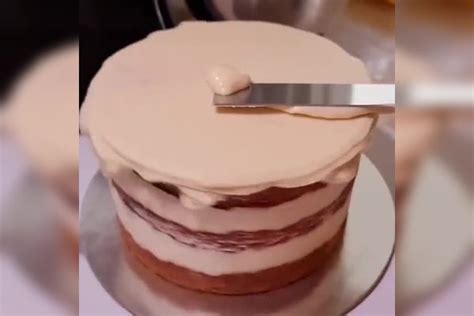 秋天到了 又是无花果最好吃的季节 无花果 季节