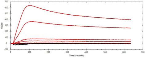 4 Ways To Reduce Non Specific Binding In Surface Plasmon Resonance Experiments Technology Networks