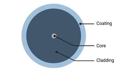 Singlemode Fibers Optical Business Services Fiber