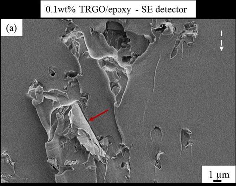 Scanning Electron Micrograph Of The Fracture Surface For 01wt
