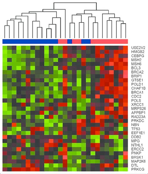 Heatmap Dendrogram Of Filtered Shc Of All Tumour Samples Performed With