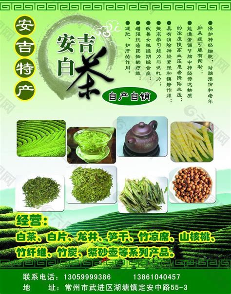 安吉白茶宣传图片平面广告素材免费下载 图片编号 945411 六图网