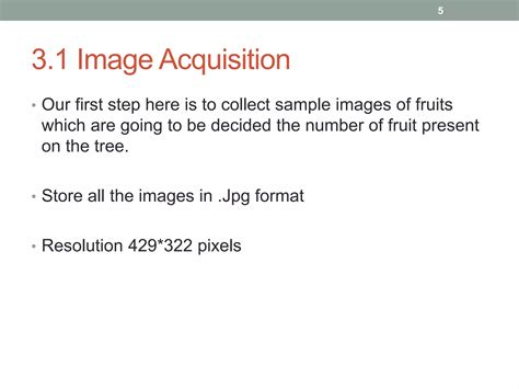 fruit detection using morphological pptx