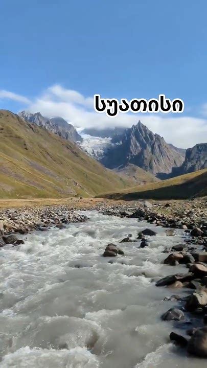 ძაღლი მთაში Youtube