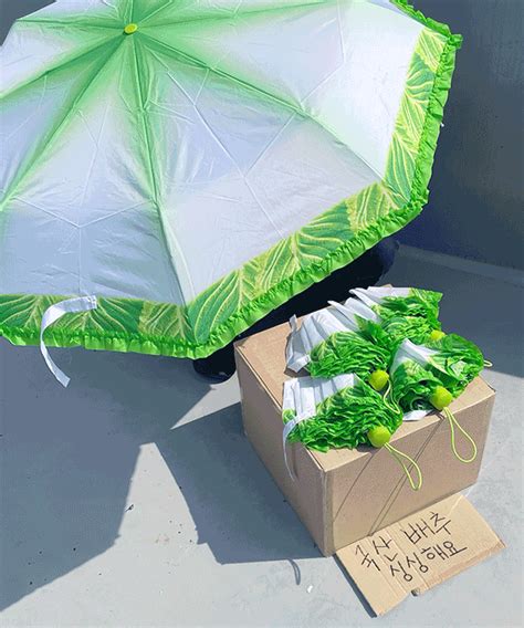 B 묶음구매할인 시강템 신선한 유기농 배추우산 여름준비 김장준비 태풍준비 접이식 우산 에이블리