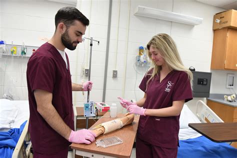 Princeton Review Names Su Online Nursing Graduate Program Among Nation