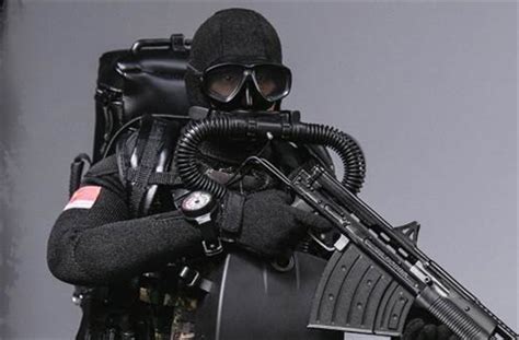 Damtoys Chinese Peoples Liberation Army Marine Corps Combat