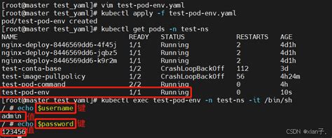 【kubernetes实战】四、pod详解①——pod的结构、定义和配置pod配置文件 Csdn博客
