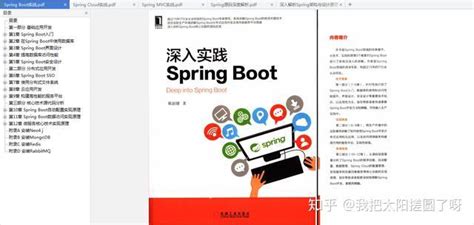 Bat精选spring系列文档：spring系列实战书籍及源码架构解析文档 知乎