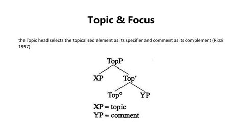 The Left Periphery Pptx